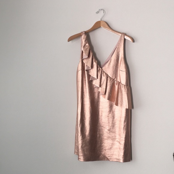 Zara | Dresses | Zara Dress Rose Champagne Color Small | Poshmark